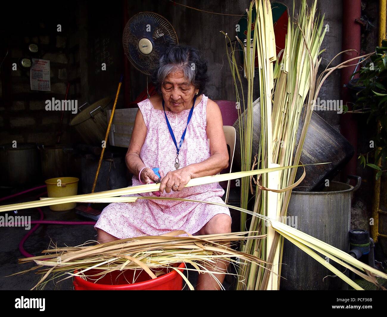 ANTIPOLO CITY, PHILIPPINES - JULY 30, 2018: An old lady trims dried ...