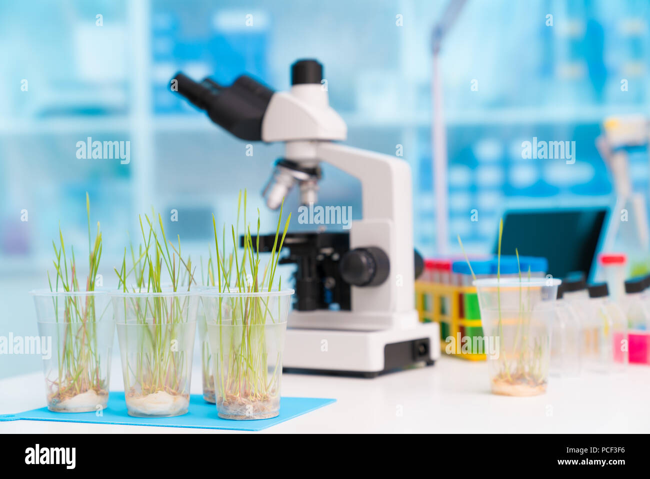 Grass end microscope in biological lab Stock Photo - Alamy