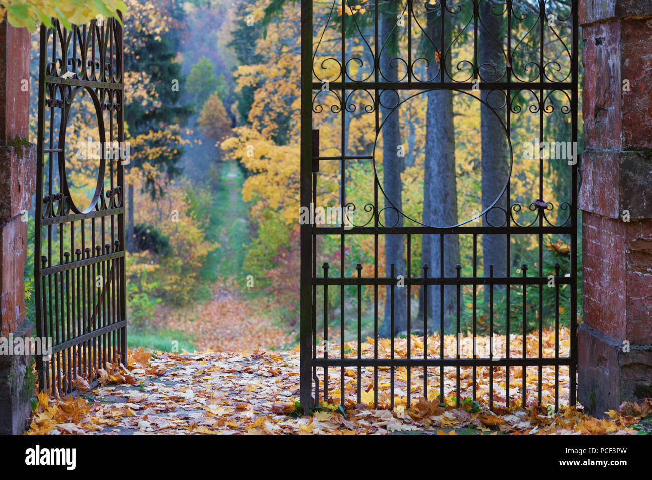 Wrought iron gate to the palace garden hi-res stock photography and ...