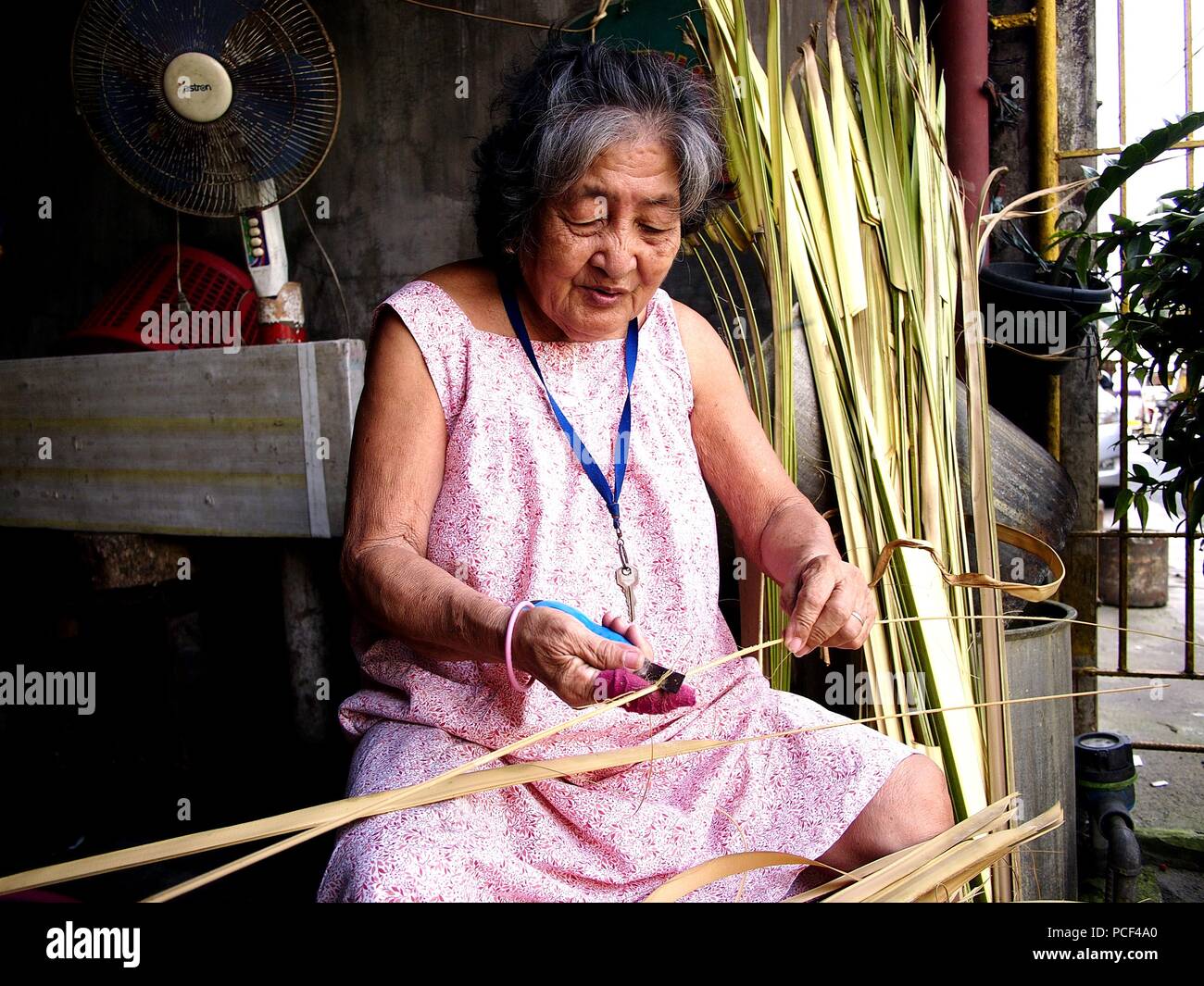 ANTIPOLO CITY, PHILIPPINES - JULY 30, 2018: An old lady trims dried ...