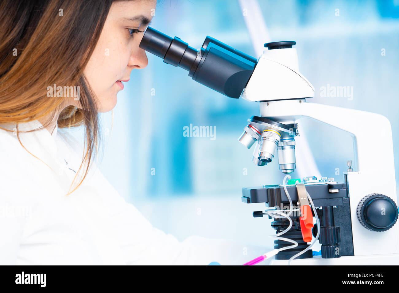 technician girl with microfluidic device LOC in microbiological lab ...