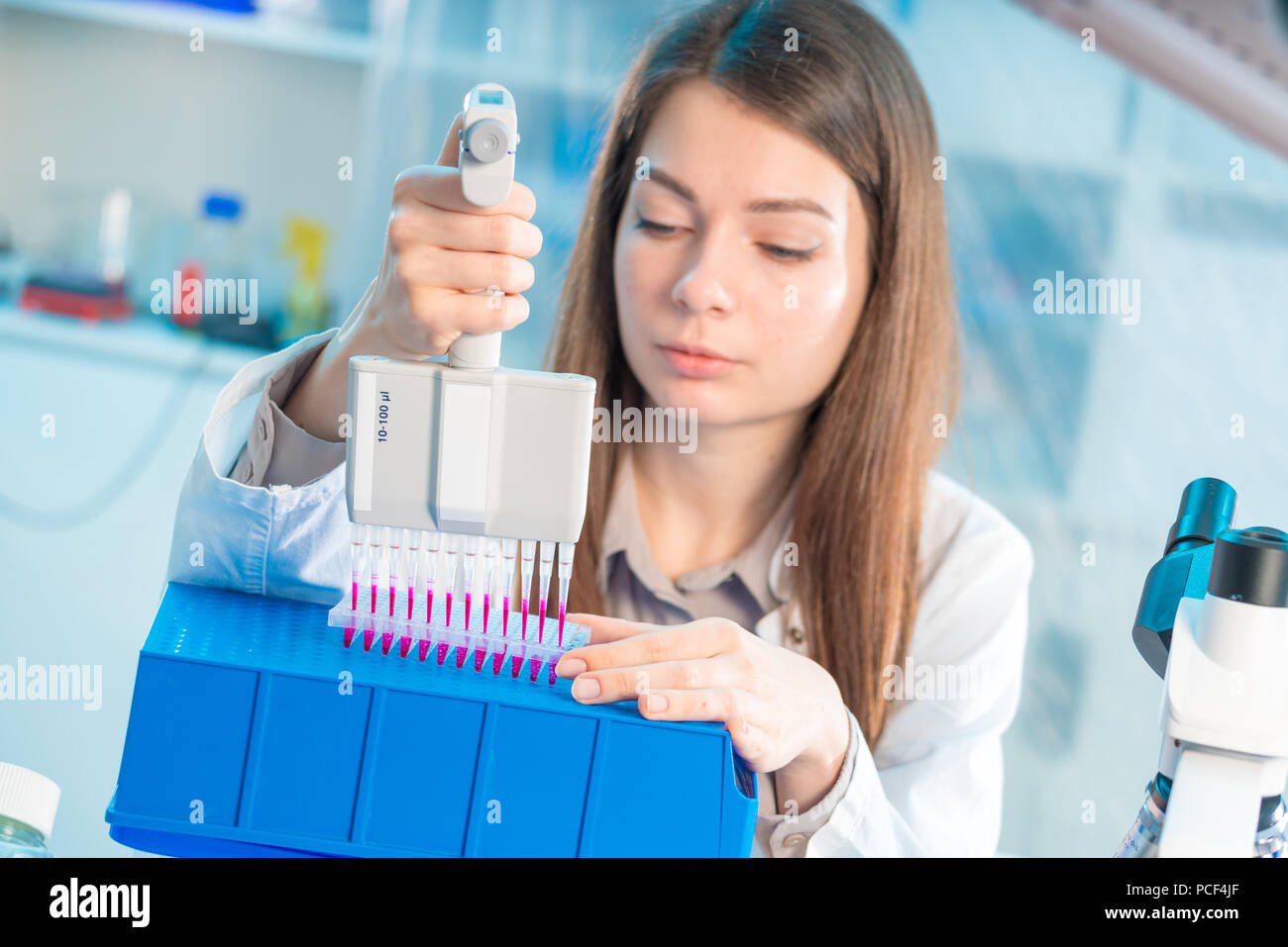 Microbiological laboratory scientist woman with multi channel pipette ...