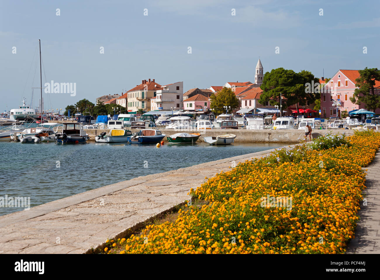 Harbour, Biograd na Moru, Dalmatia, Croatia, port Stock Photo - Alamy