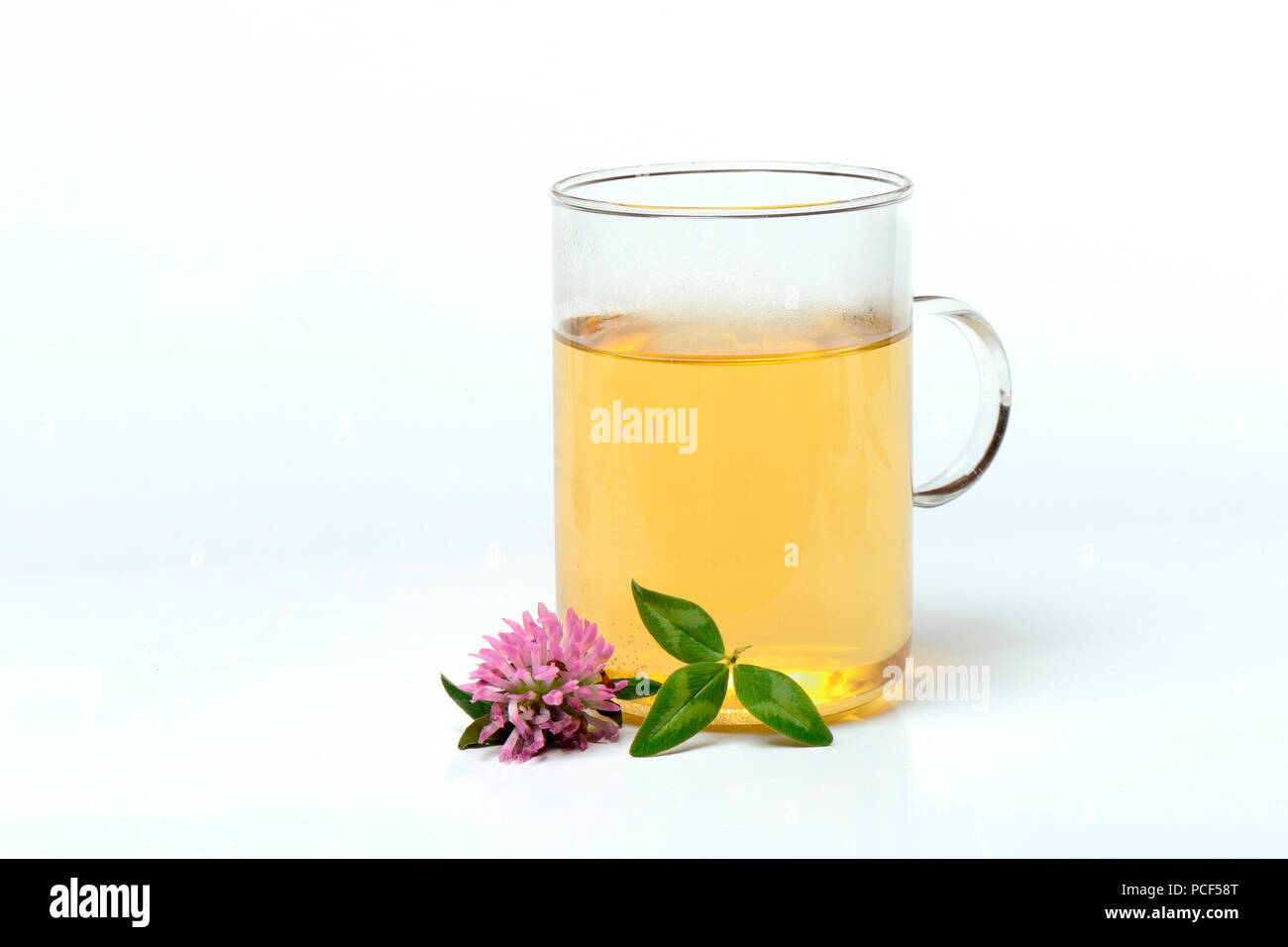 Rotklee tee hi-res stock photography and images - Alamy