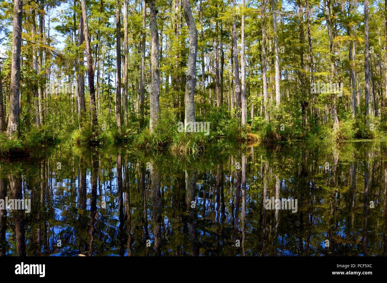 South carolina summer hi-res stock photography and images - Alamy