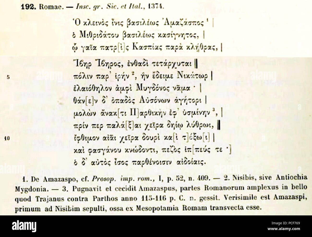 Amazaspus hi-res stock photography and images - Alamy