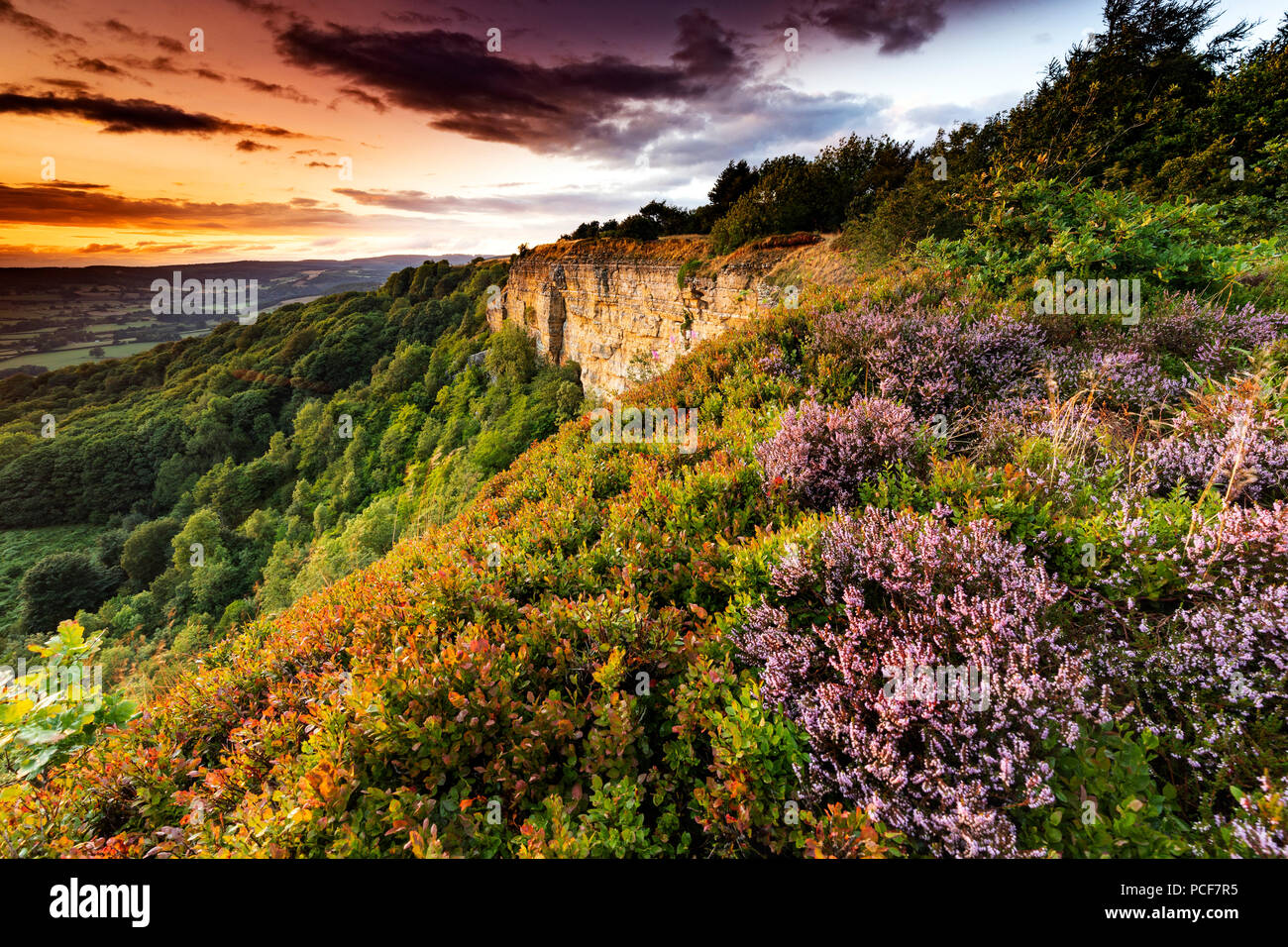Sutton bank heather hi-res stock photography and images - Alamy