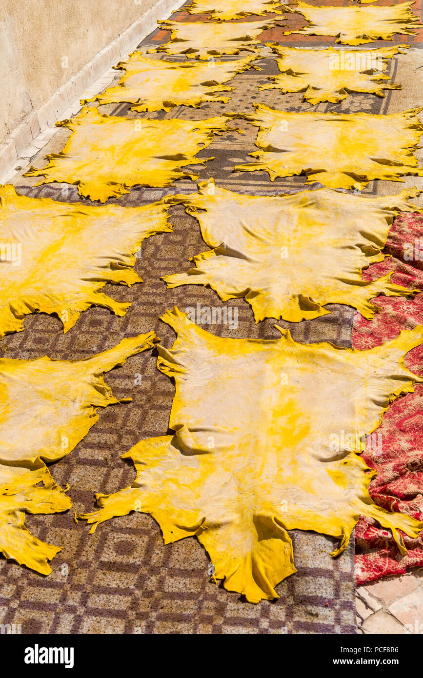 Leather at the Dry, Dyeing, Tannery, Tannerie Chouara, Gerber and Dyer ...