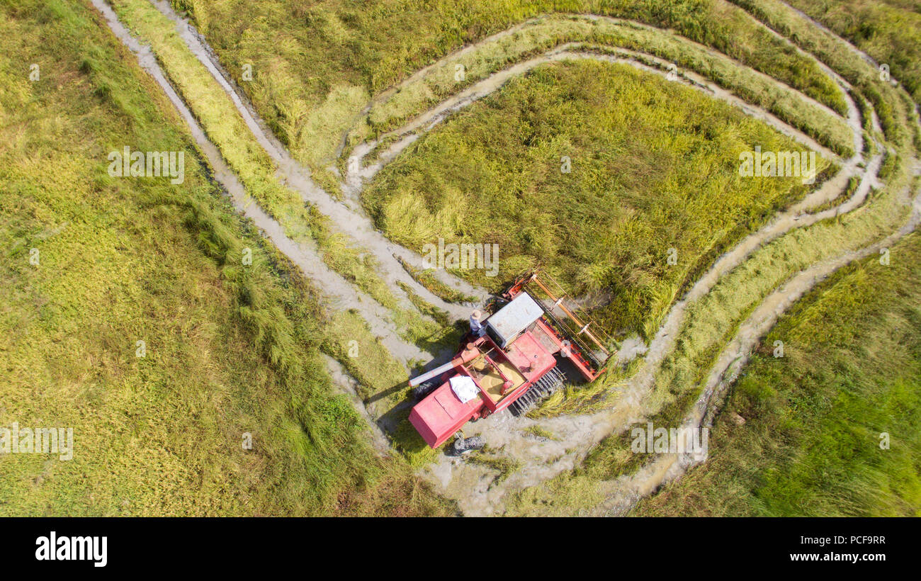 Machine harvesting hi-res stock photography and images - Alamy