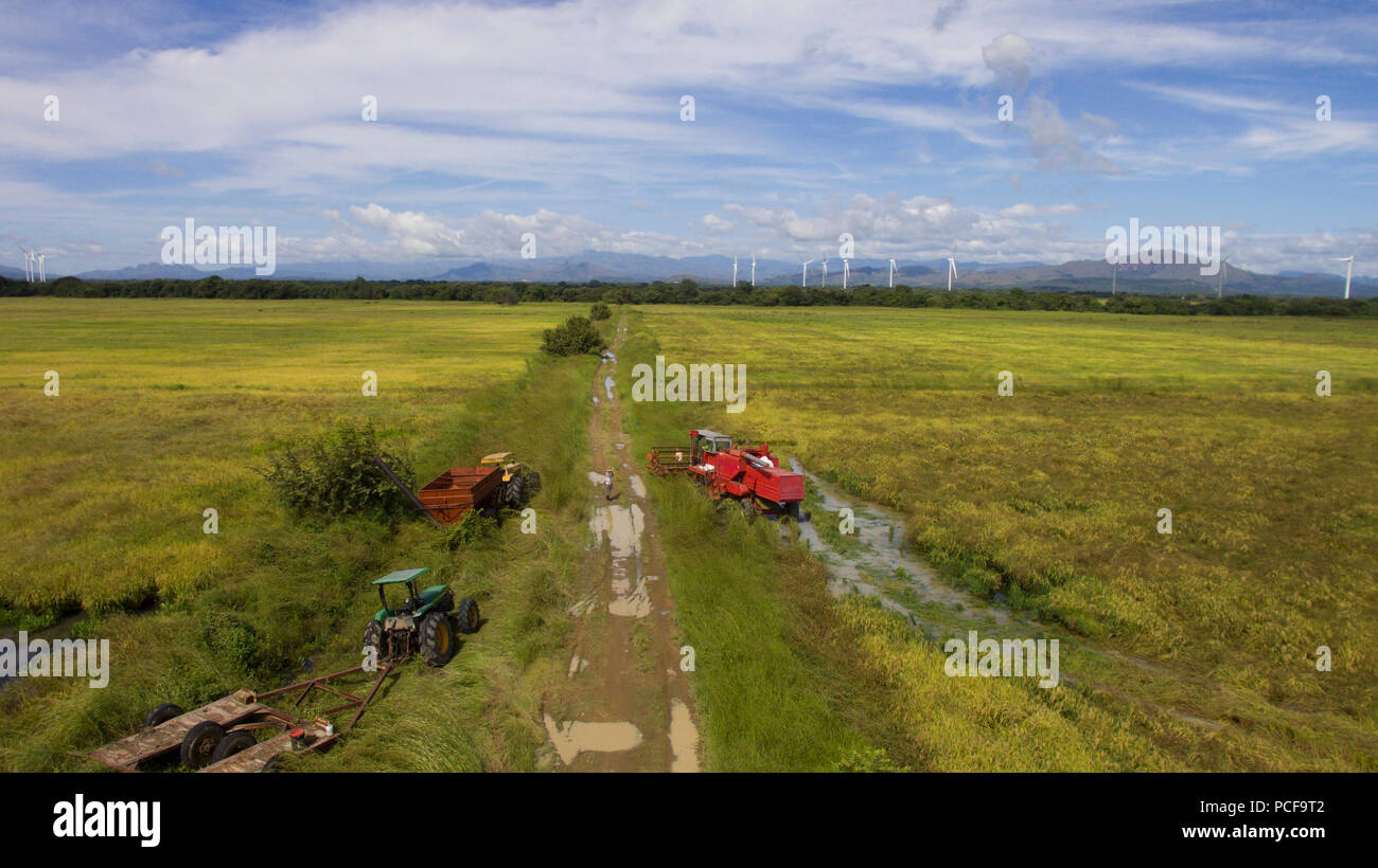 Machines getting ready to start the harvest at a rice field in Panama ...