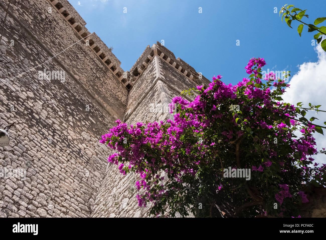 Bougainvillea flower near medieval castle stone wall with blue sky ...