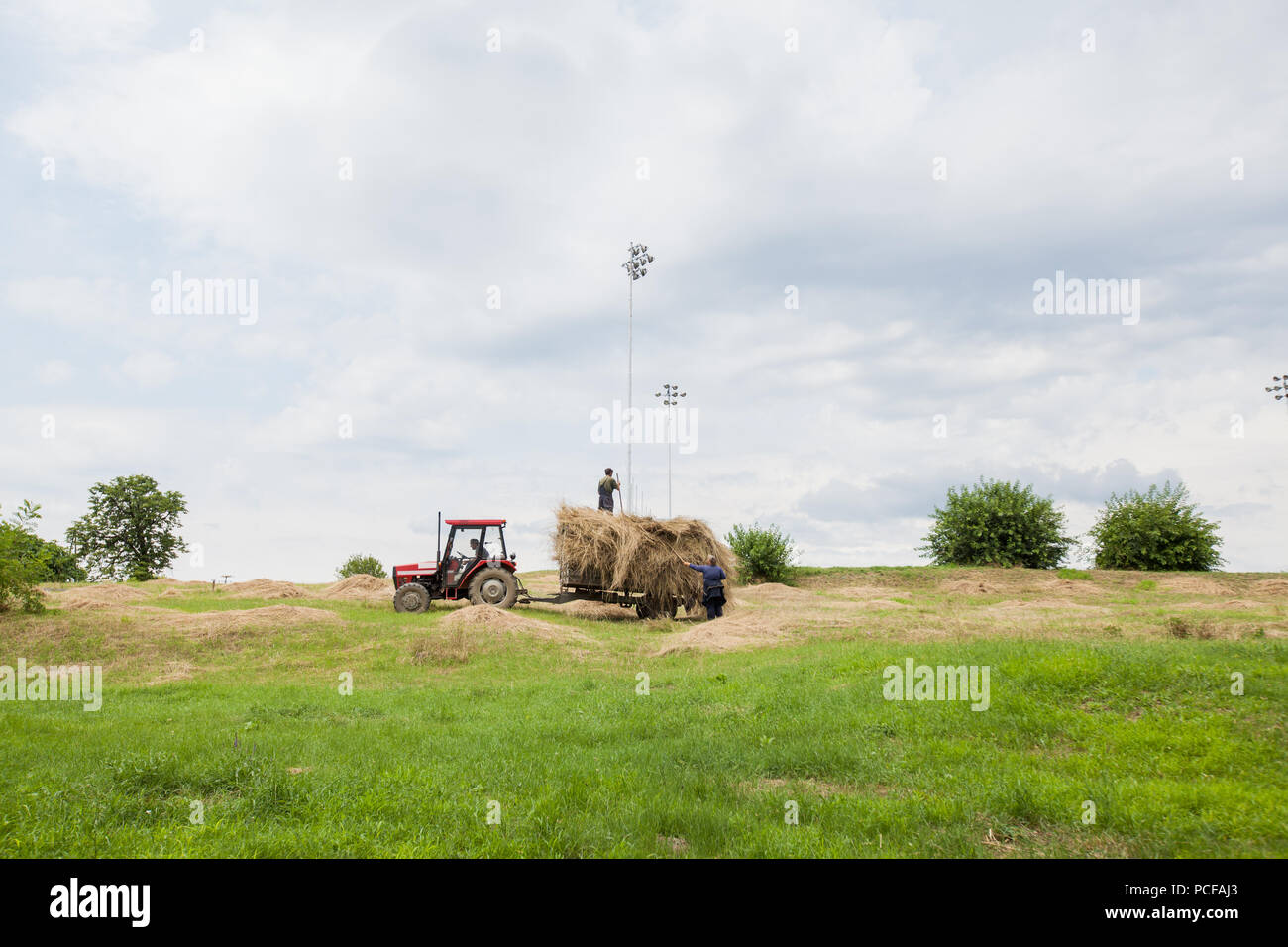 Traditional Way Collecting Hay, People On Fields, Nature Landscape ...