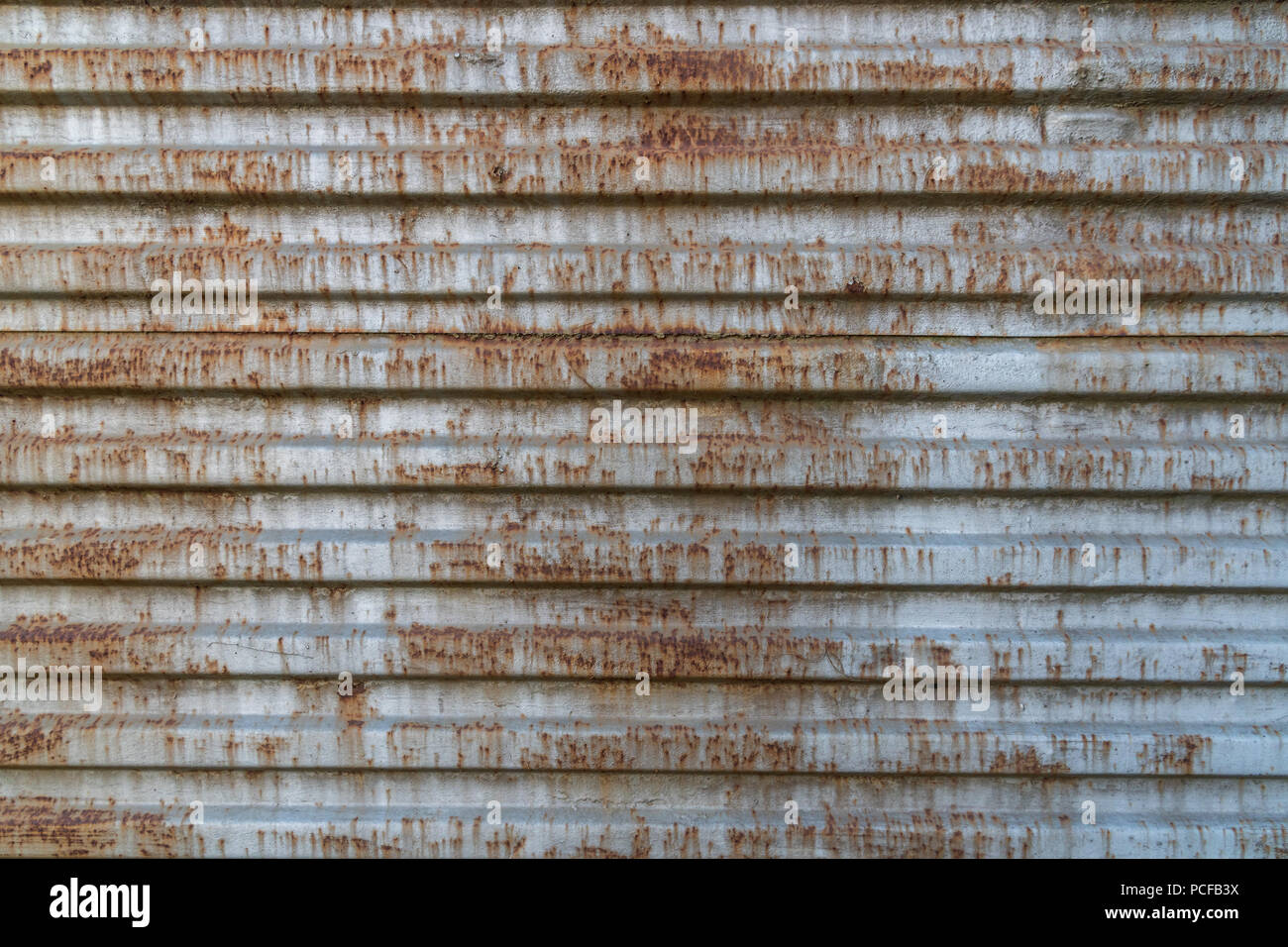 Rusty metal background with old layers of silver paint. Texture rusted ...