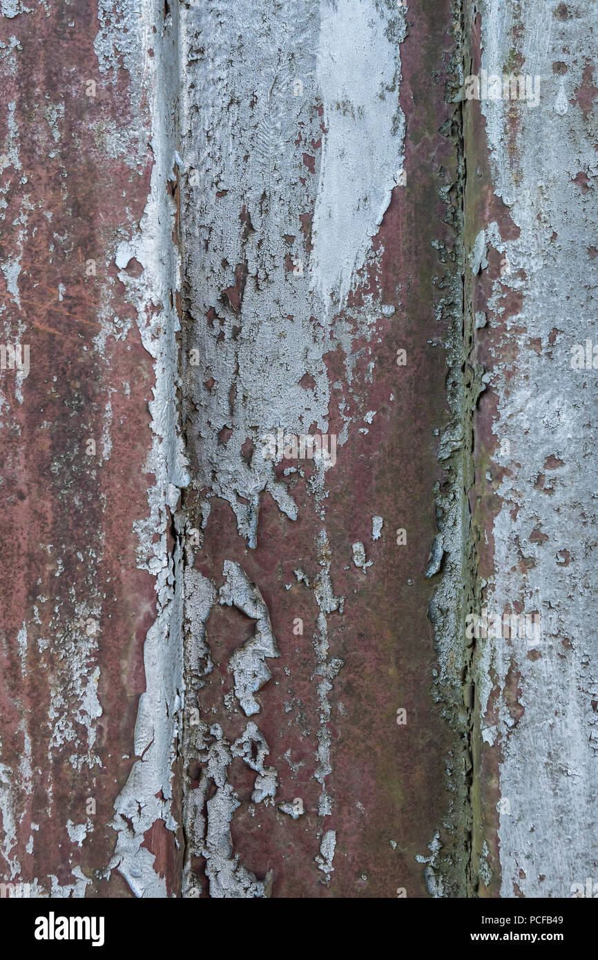 Rusty metal background with old layers of silver paint. Texture rusted ...