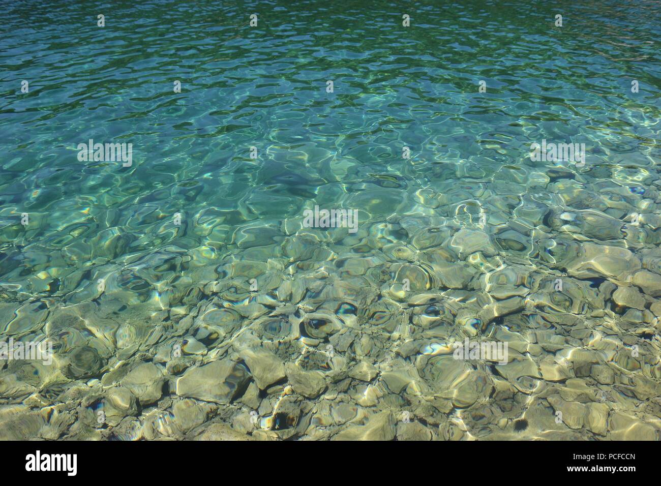 Crystal clear water on the beach. Sea urchins and mussels are to be ...