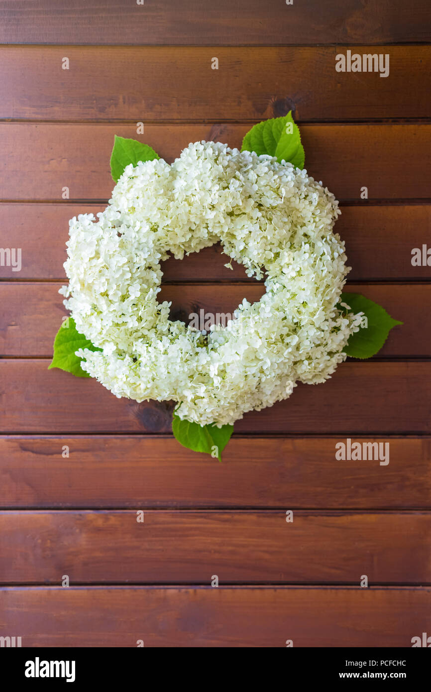 Silver leaf hydrangea hi-res stock photography and images - Alamy