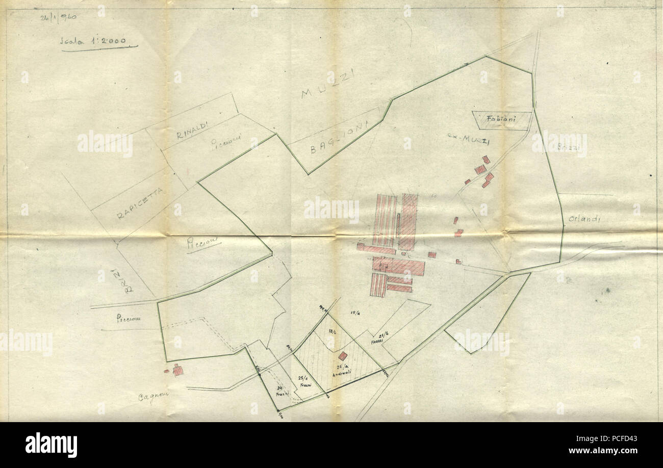 Pianta hi-res stock photography and images - Alamy