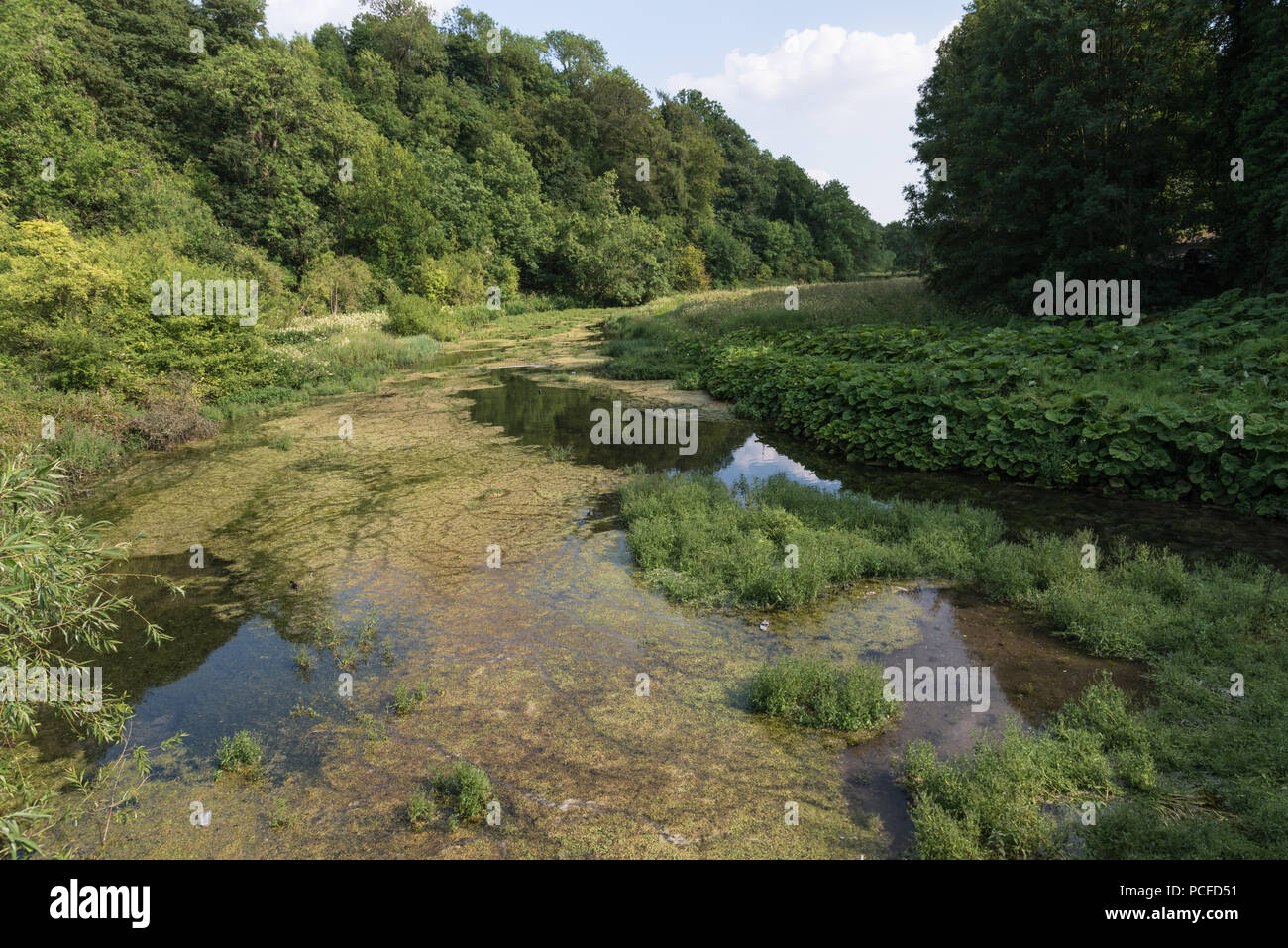 The river Lathkill flowing through the Derbyshire dale in the English ...