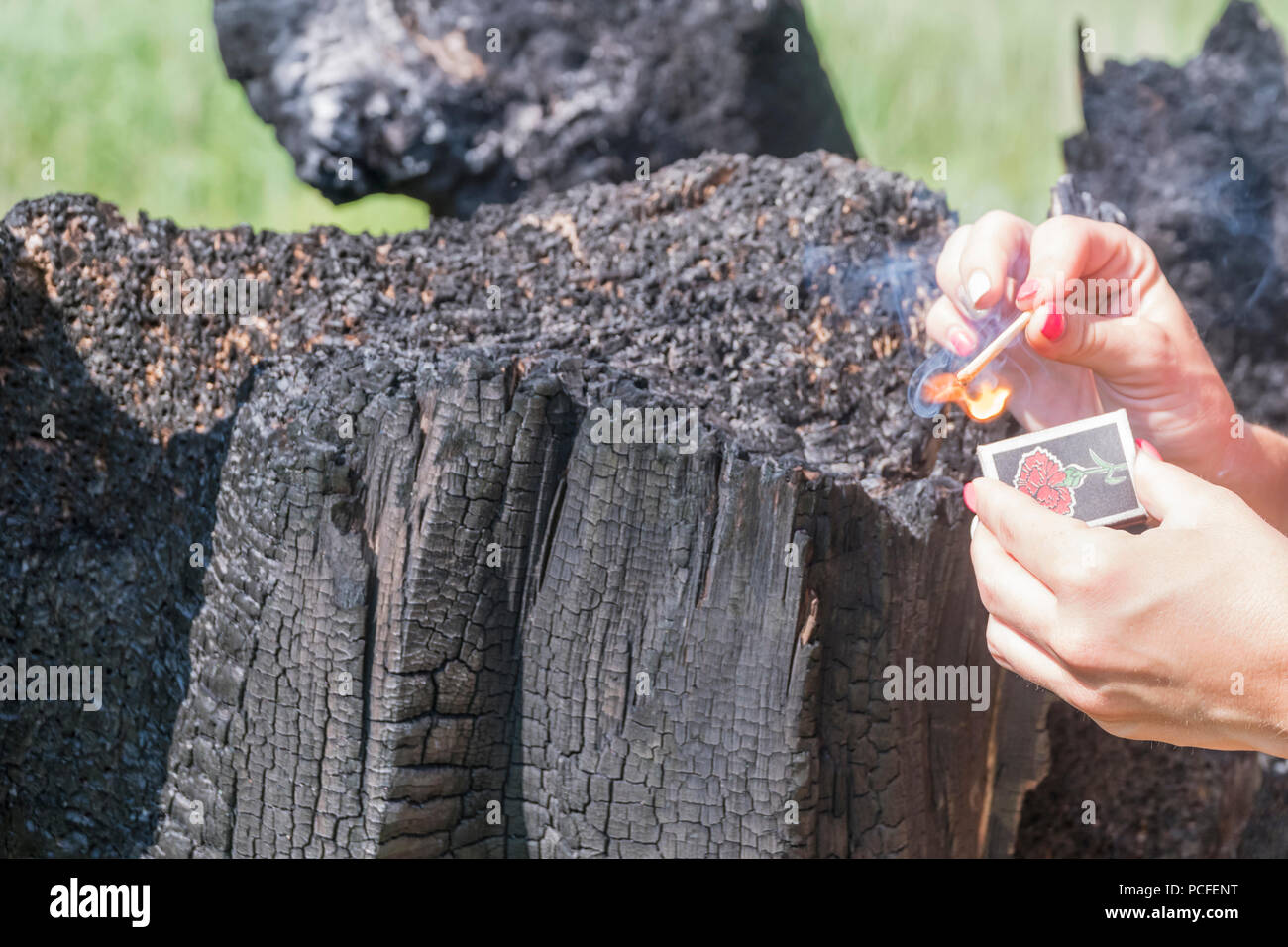 Hands set fire to a tree Stock Photo - Alamy