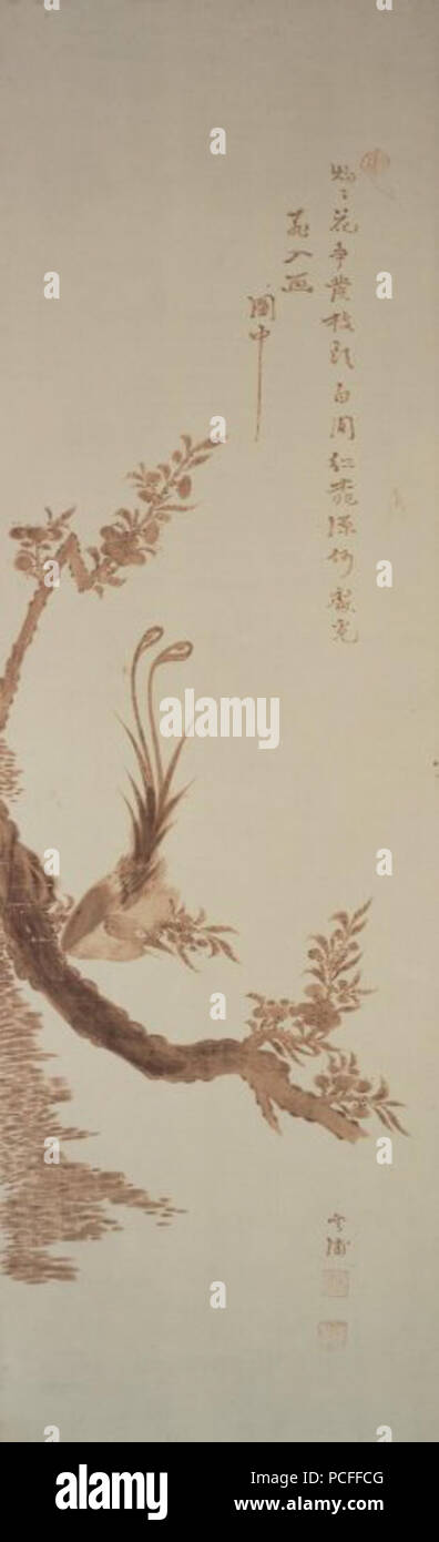 Birds of brooklyn hi-res stock photography and images - Alamy