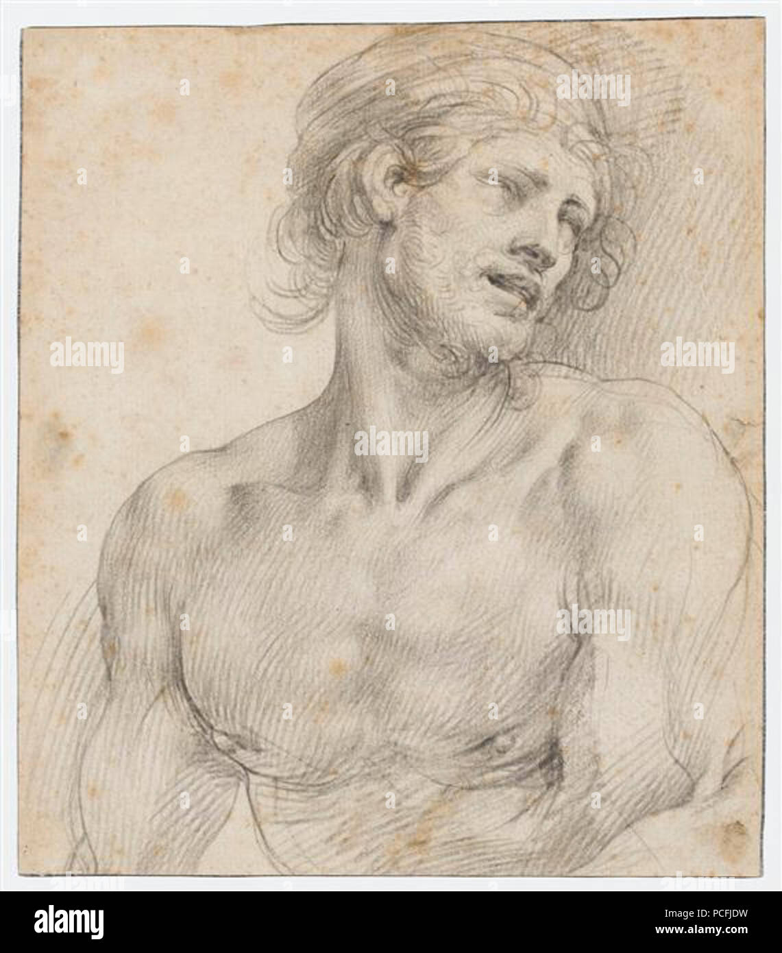 Cavalier darpin hi-res stock photography and images - Alamy