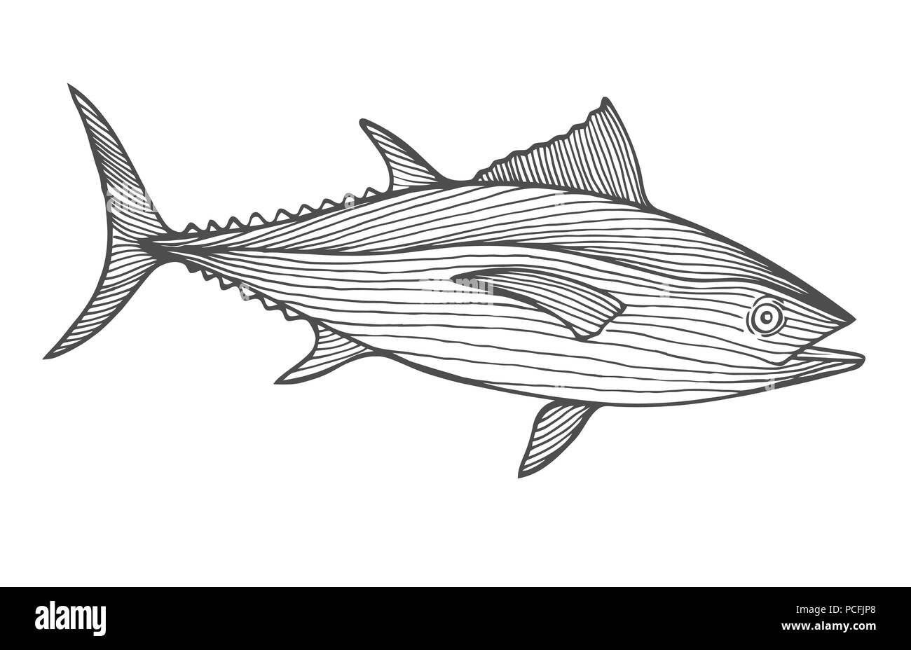 Tuna Fish Drawing