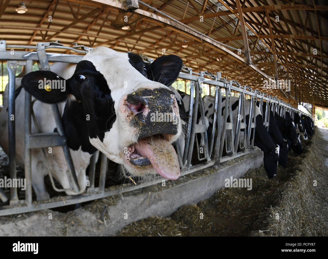 Washington, USA. 24th July, 2018. Photo taken on July 24, 2018 shows ...