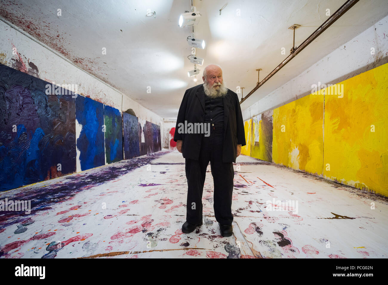 01 August 2018, Austria, Prinzendorf an der Zaya: The Austrian painter ...