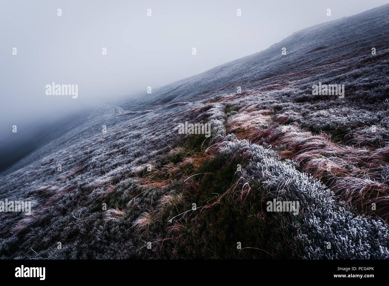 Fantastic autumn landscape with frost Stock Photo - Alamy
