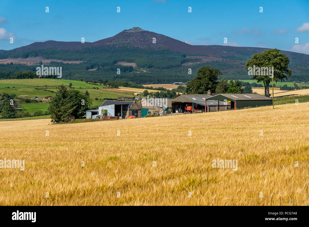 Bennachie aberdeenshire scotland hi-res stock photography and images ...