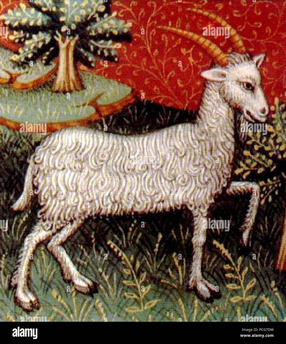 Capricorn symbol meaning hi-res stock photography and images - Alamy