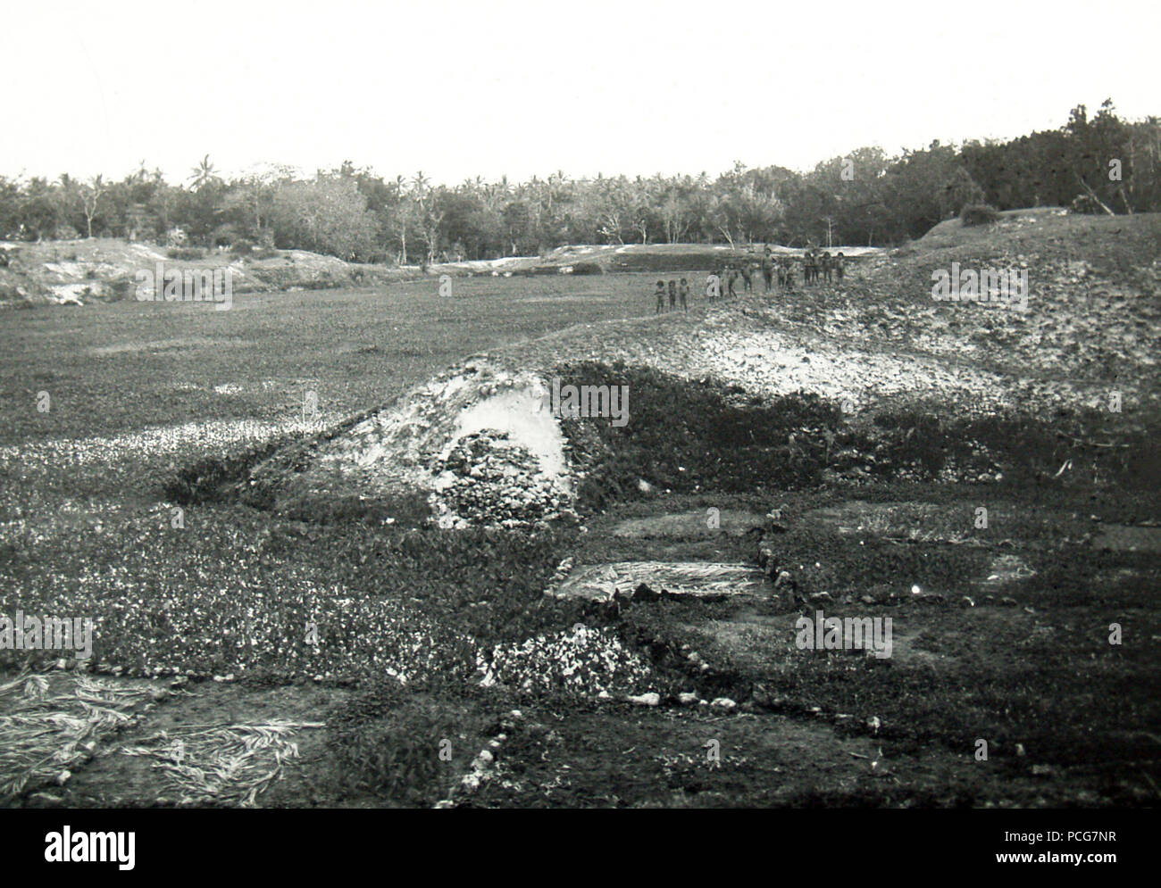 7 Taro Fields on Tobi Island (1908-1910 Stock Photo - Alamy