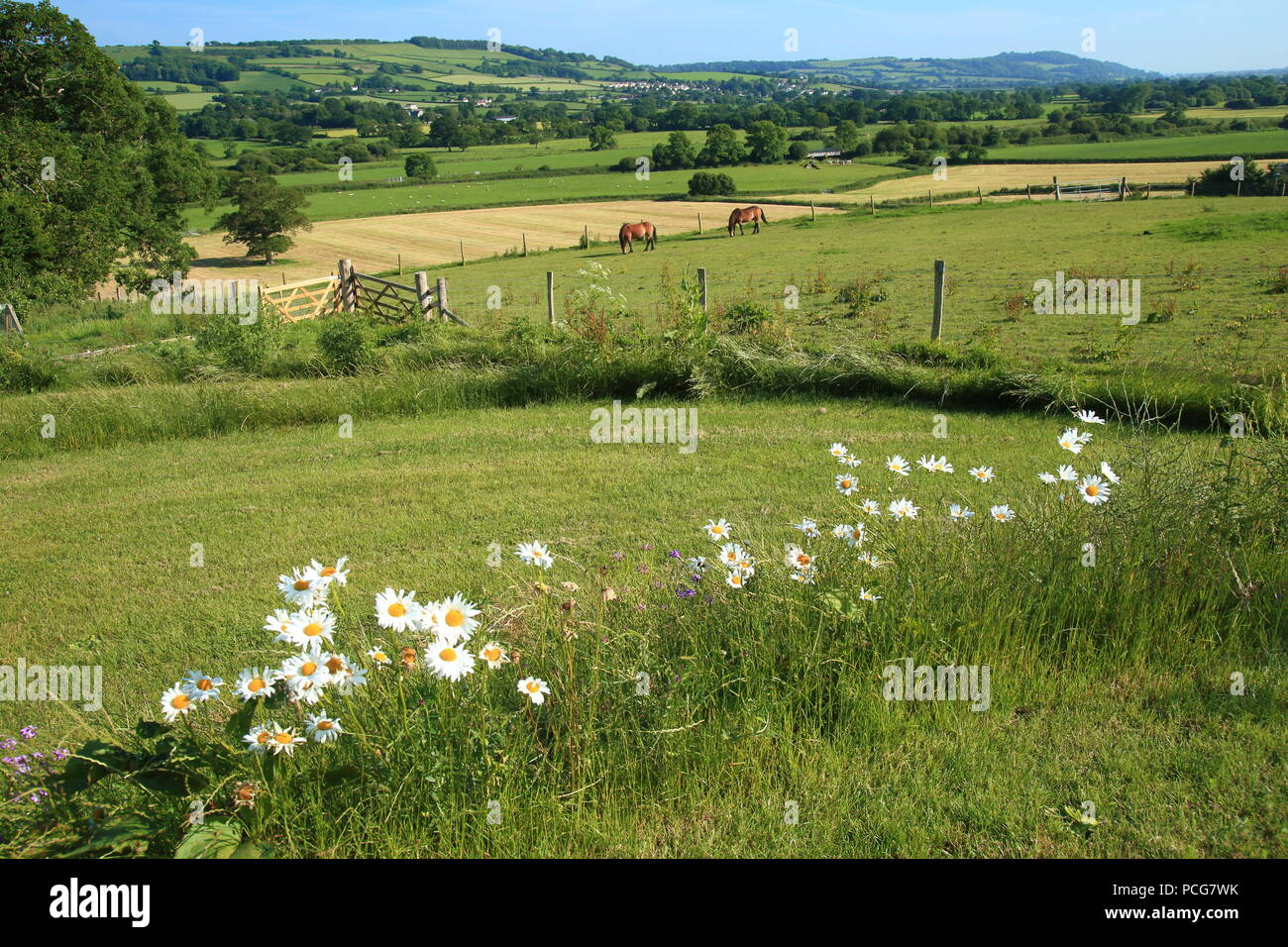 Beautiful farmland in Axe Valley in East Devon AONB Stock Photo - Alamy