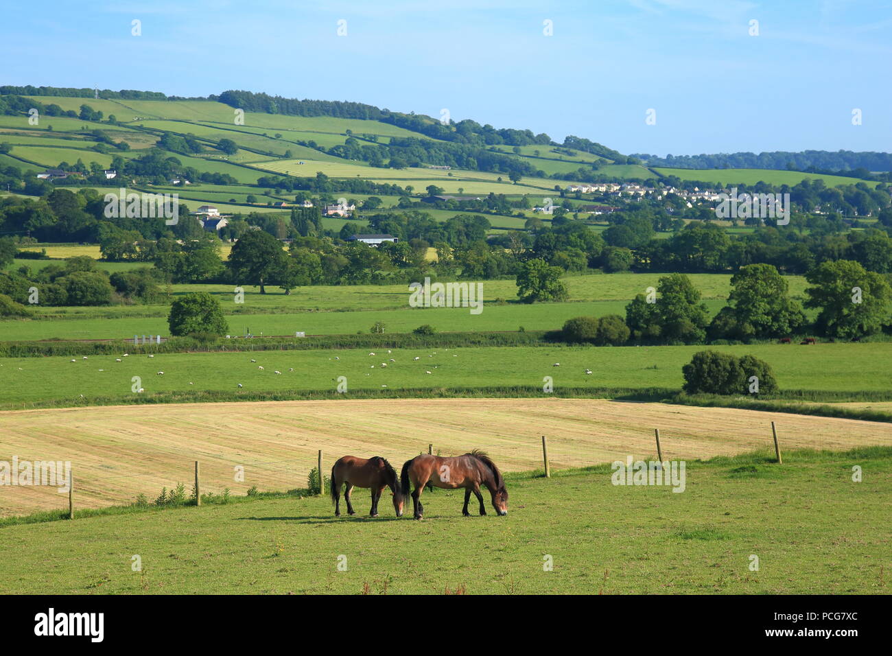 Devon farmland valley summer hi-res stock photography and images - Alamy