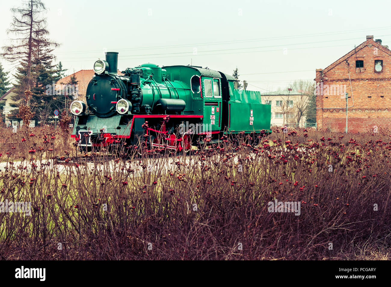 A green steam locomotive engine on display in Marki, Poland. The narrow ...