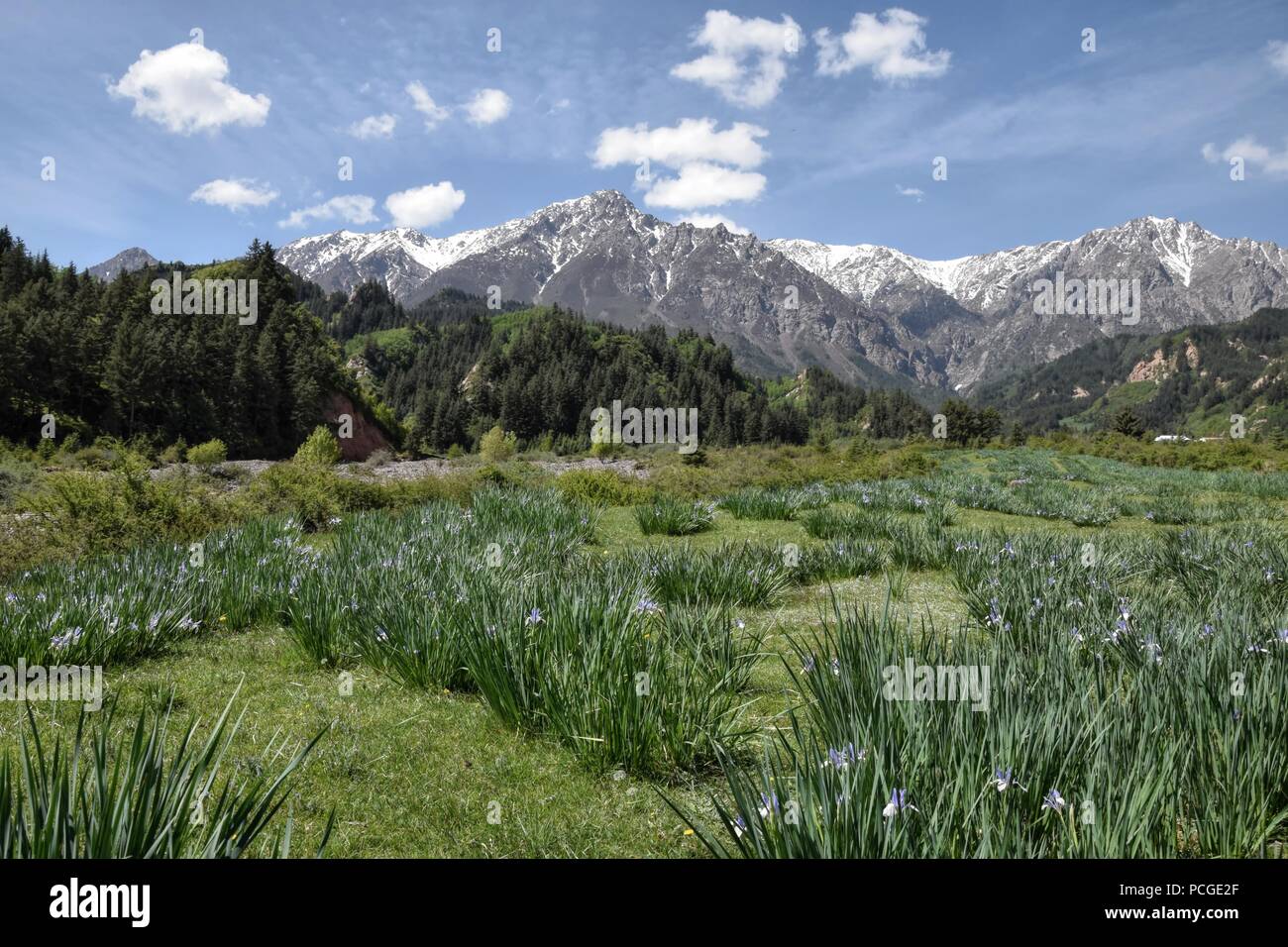 Mati shan hi-res stock photography and images - Alamy