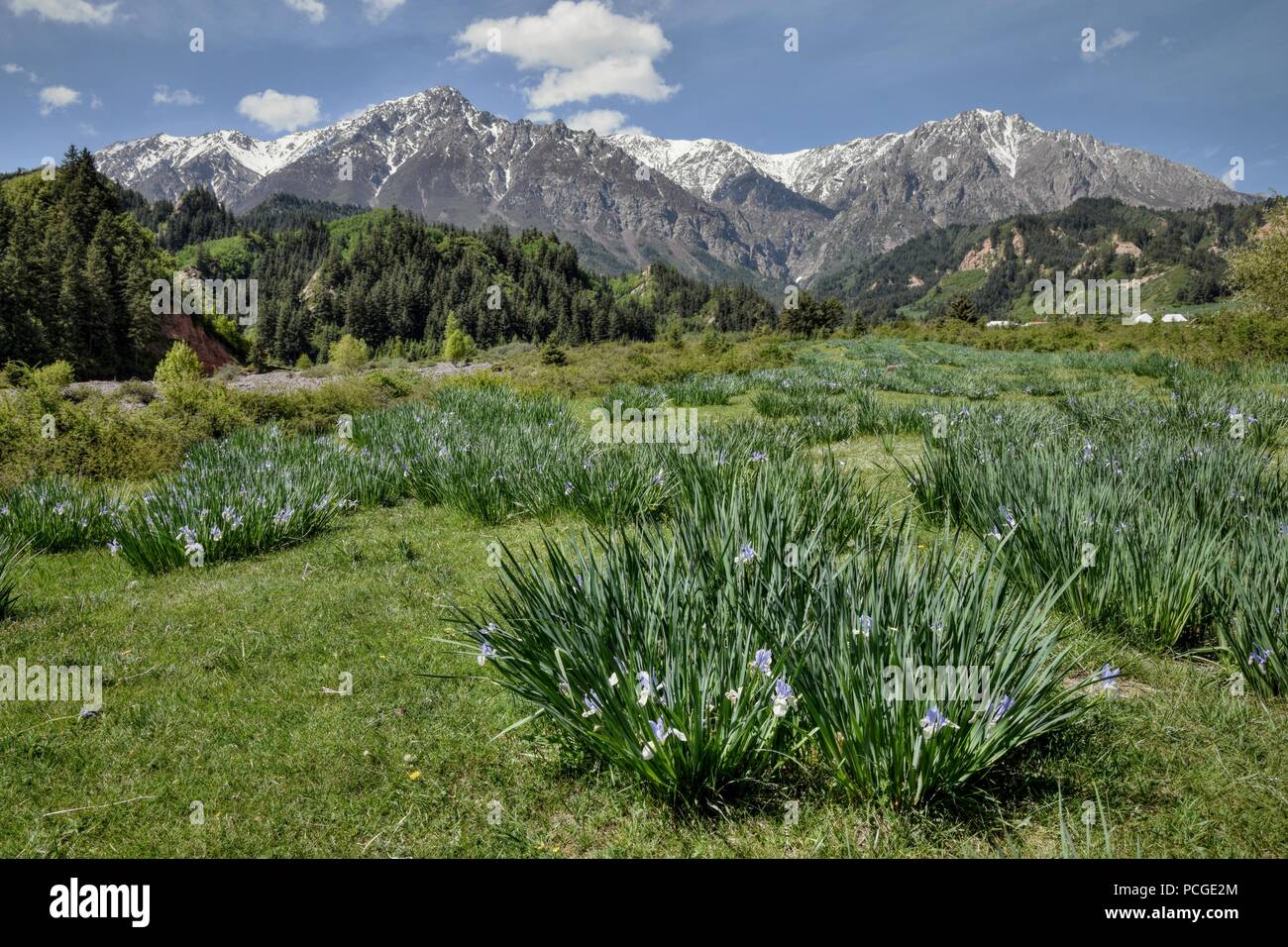 Mati shan hi-res stock photography and images - Alamy