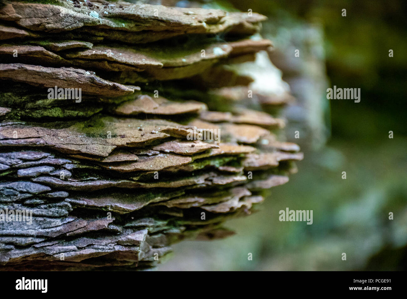 compressed stone making stacked layers on a cliff Stock Photo - Alamy