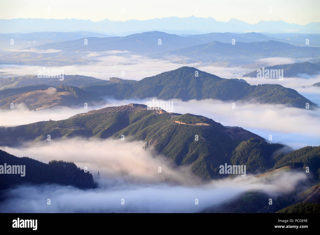 Nelson region new zealand hi-res stock photography and images - Alamy