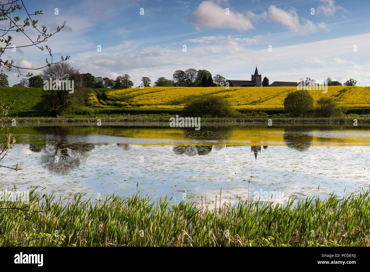 Moira aghalee hi-res stock photography and images - Alamy