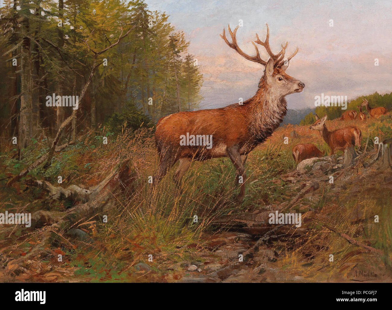 Albert Ernst Mühlig - Red Deer On the Lookout Stock Photo - Alamy
