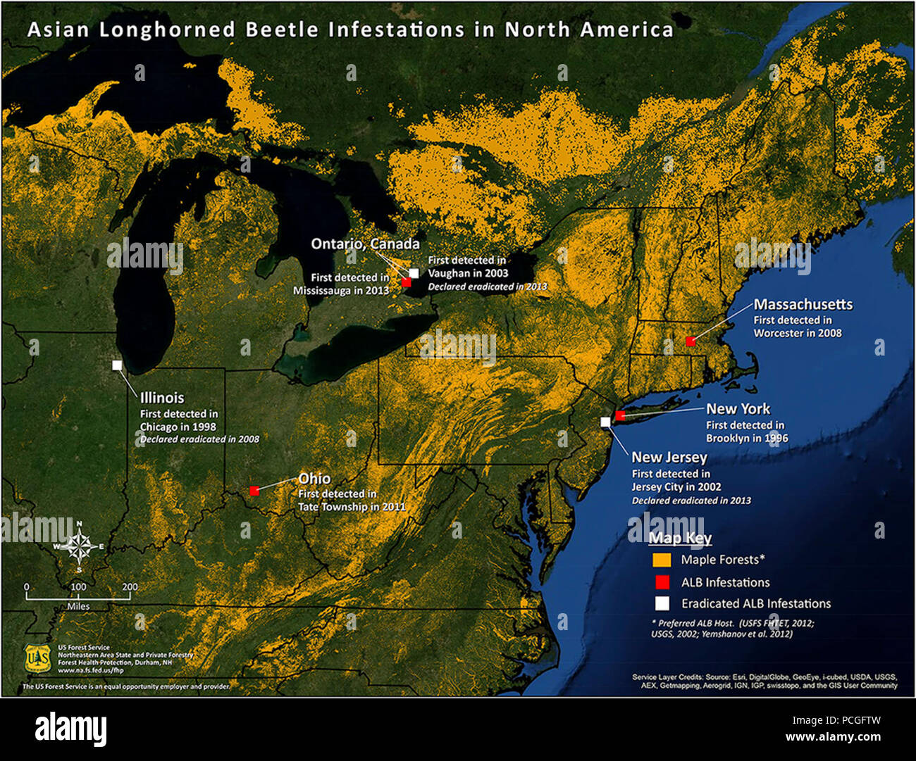 Infestation picture hi-res stock photography and images - Alamy
