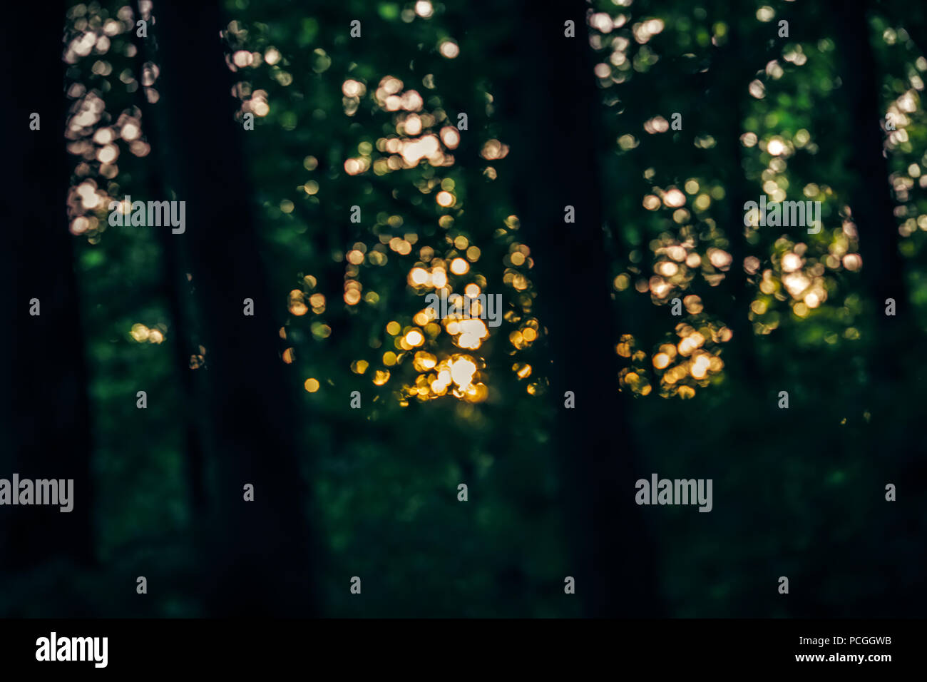 dreamy background dark