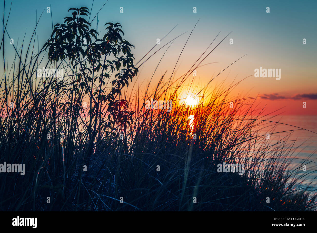 Pinery hi-res stock photography and images - Alamy