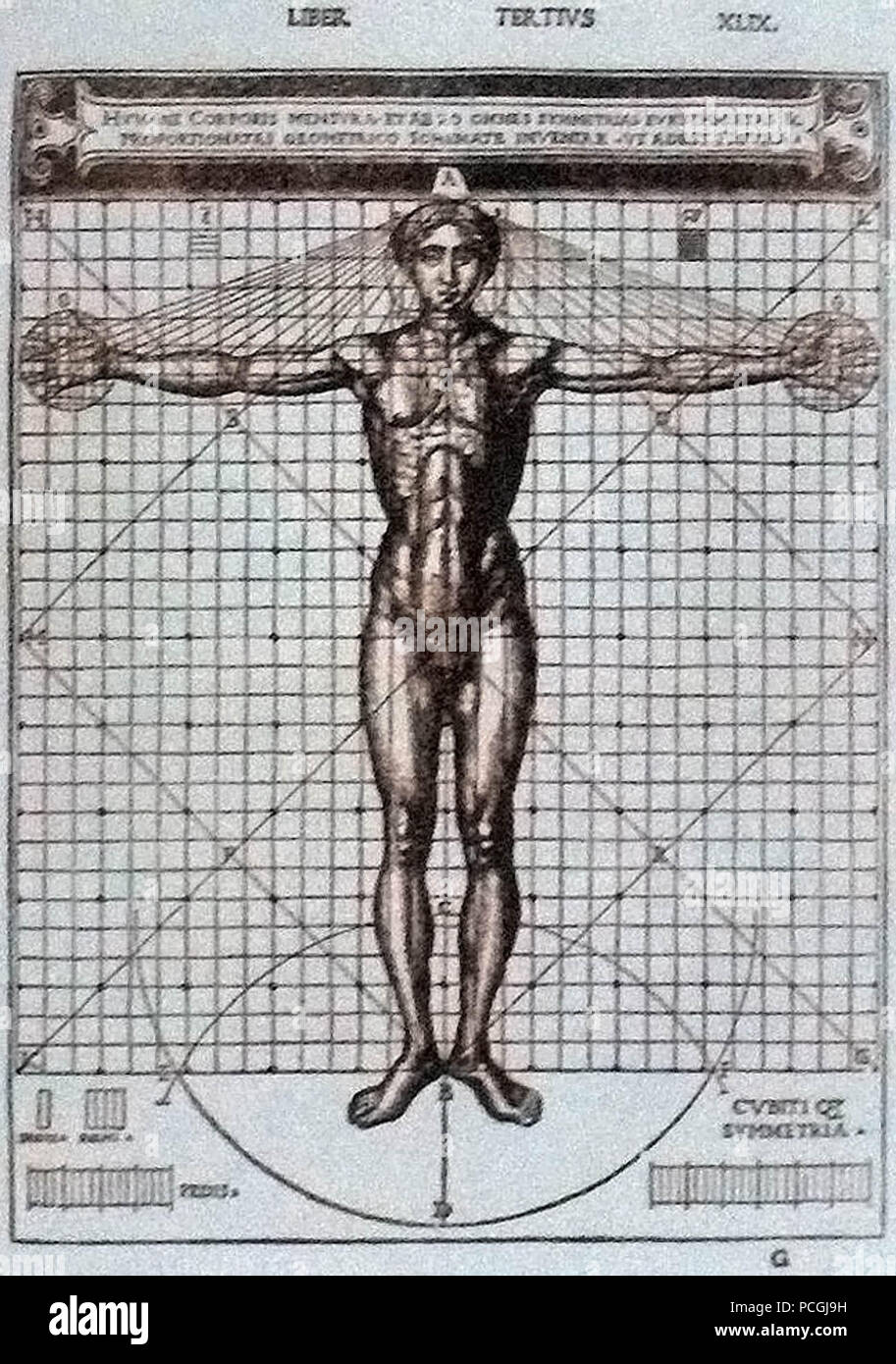 Vitruvius Stock Photos & Vitruvius Stock Images - Alamy