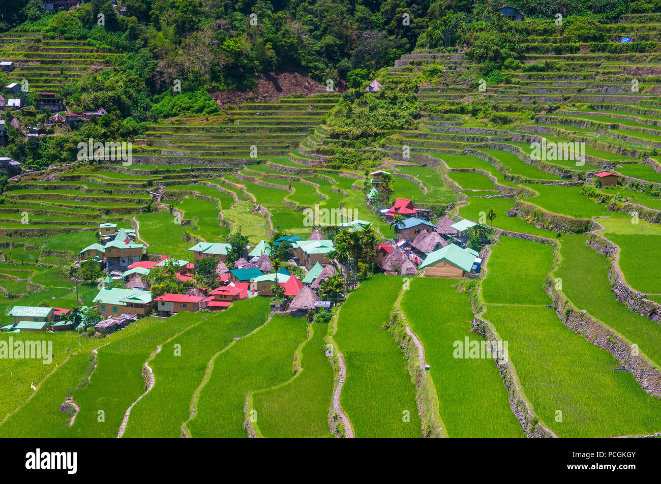 View of rice terraces fields in Banaue, Philippines. The Banaue rice ...