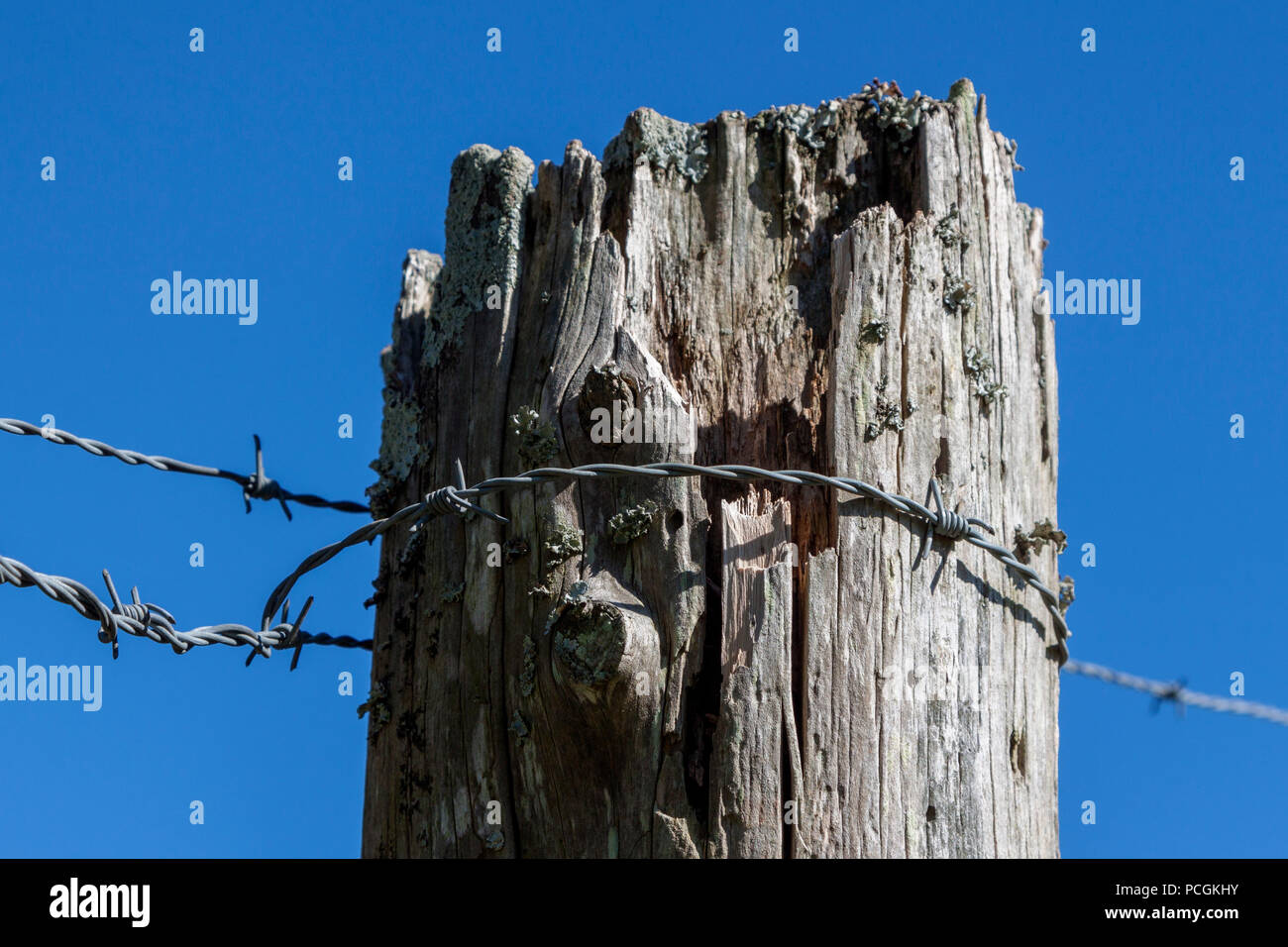 Weathered old wooden fence post with barbed wire hi-res stock ...