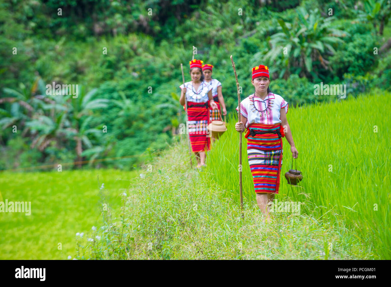 Ifugao traditional rice hi-res stock photography and images - Alamy