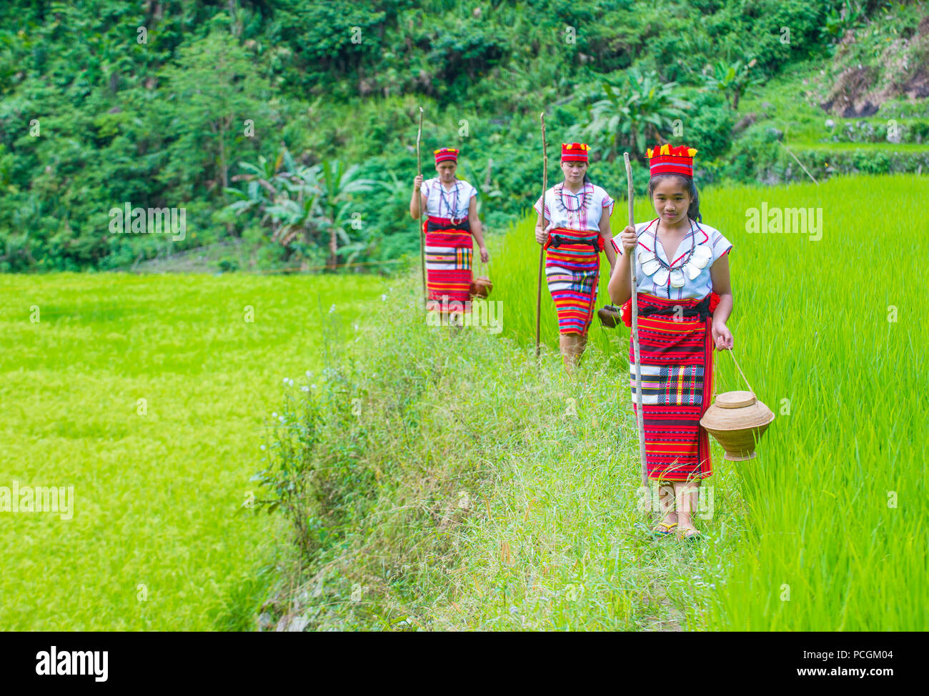 Ifugao traditional rice hi-res stock photography and images - Alamy