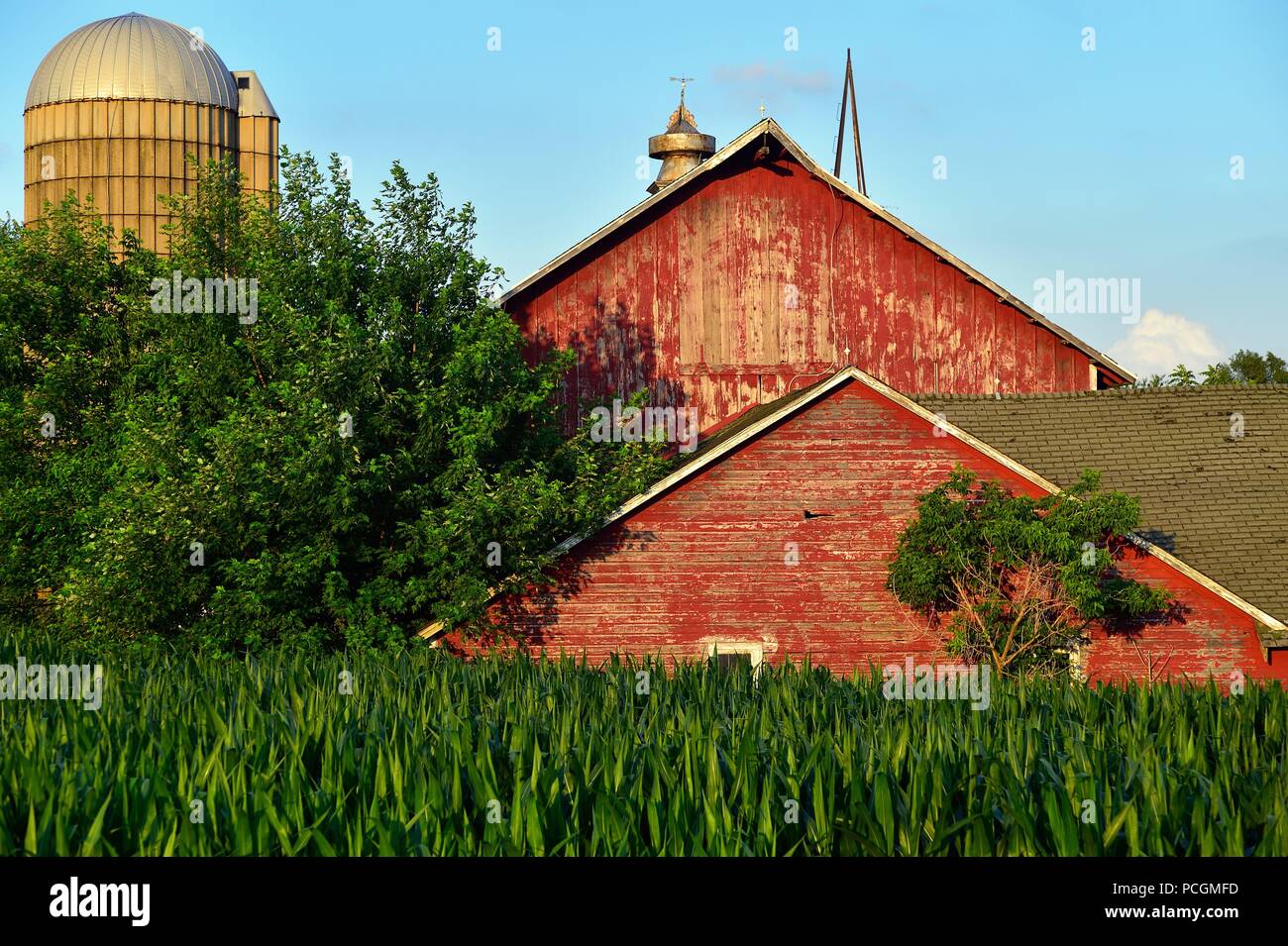 Red barn with corn hi-res stock photography and images - Alamy